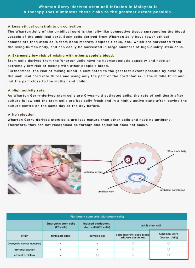 Wharton Jelly Stem Cell Infusion in Malaysia | beaucell